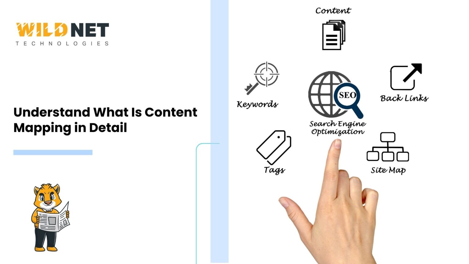Understand What Is Content Mapping in Detail
