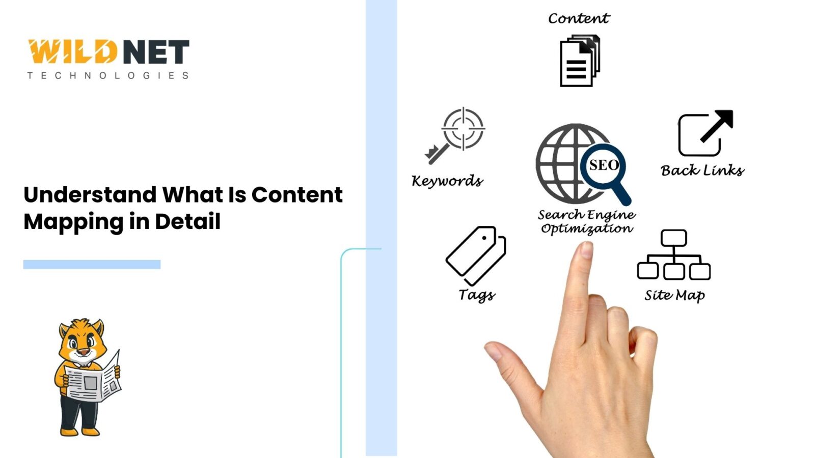 Understand What Is Content Mapping in Detail
