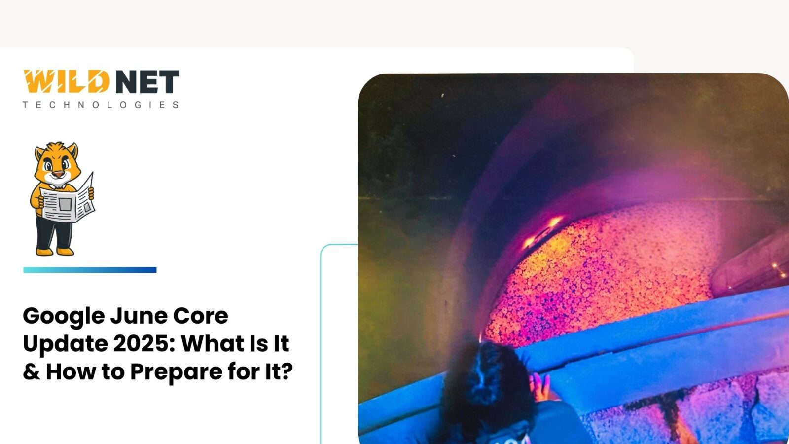 Google June Core Update 2025: What Is It & How to Prepare for It?